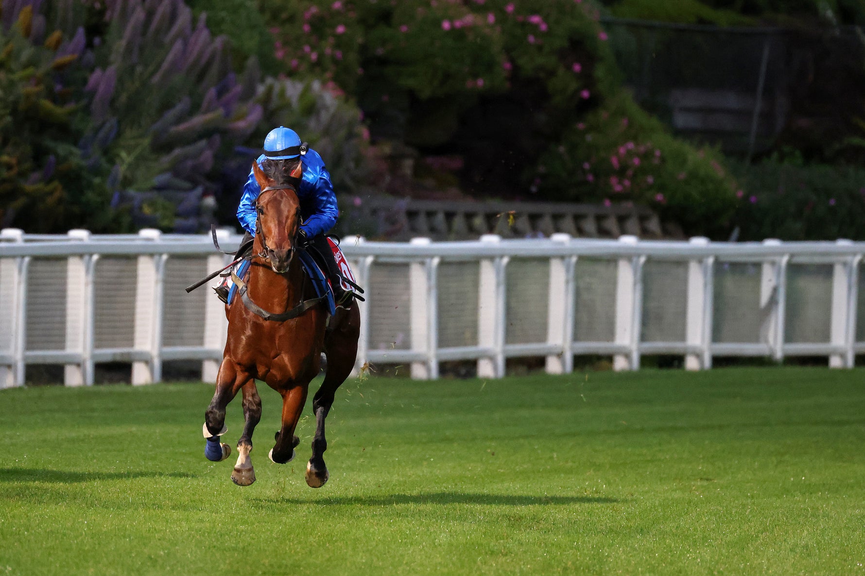 The Australian Godolphin Shop – Godolphin Australia Shop