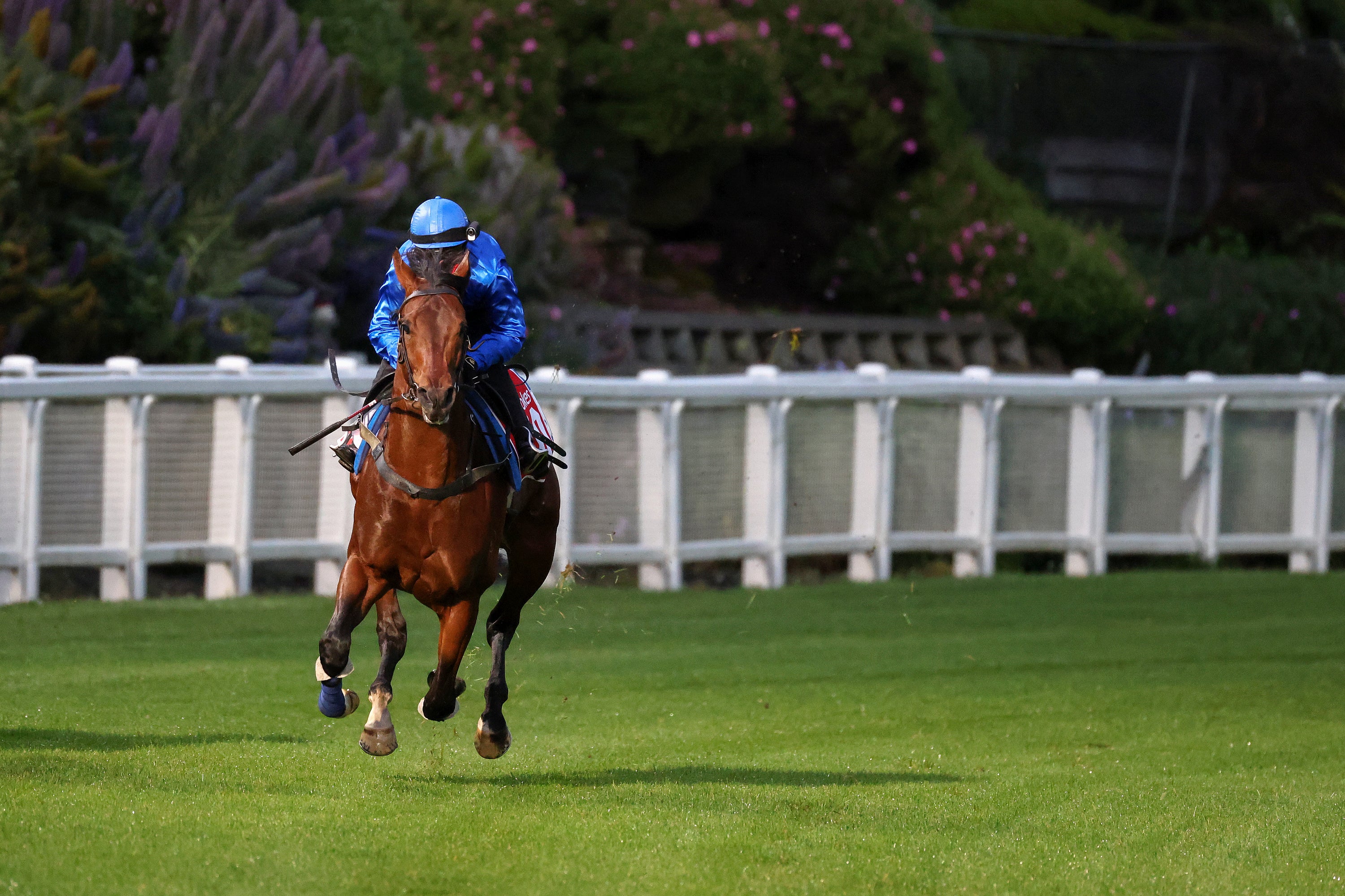 The Australian Godolphin Shop – Godolphin Australia Shop